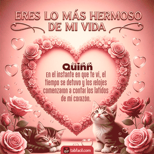 ️ Tú eres lo más hermoso de mi vida 〖Quinn〗GIF